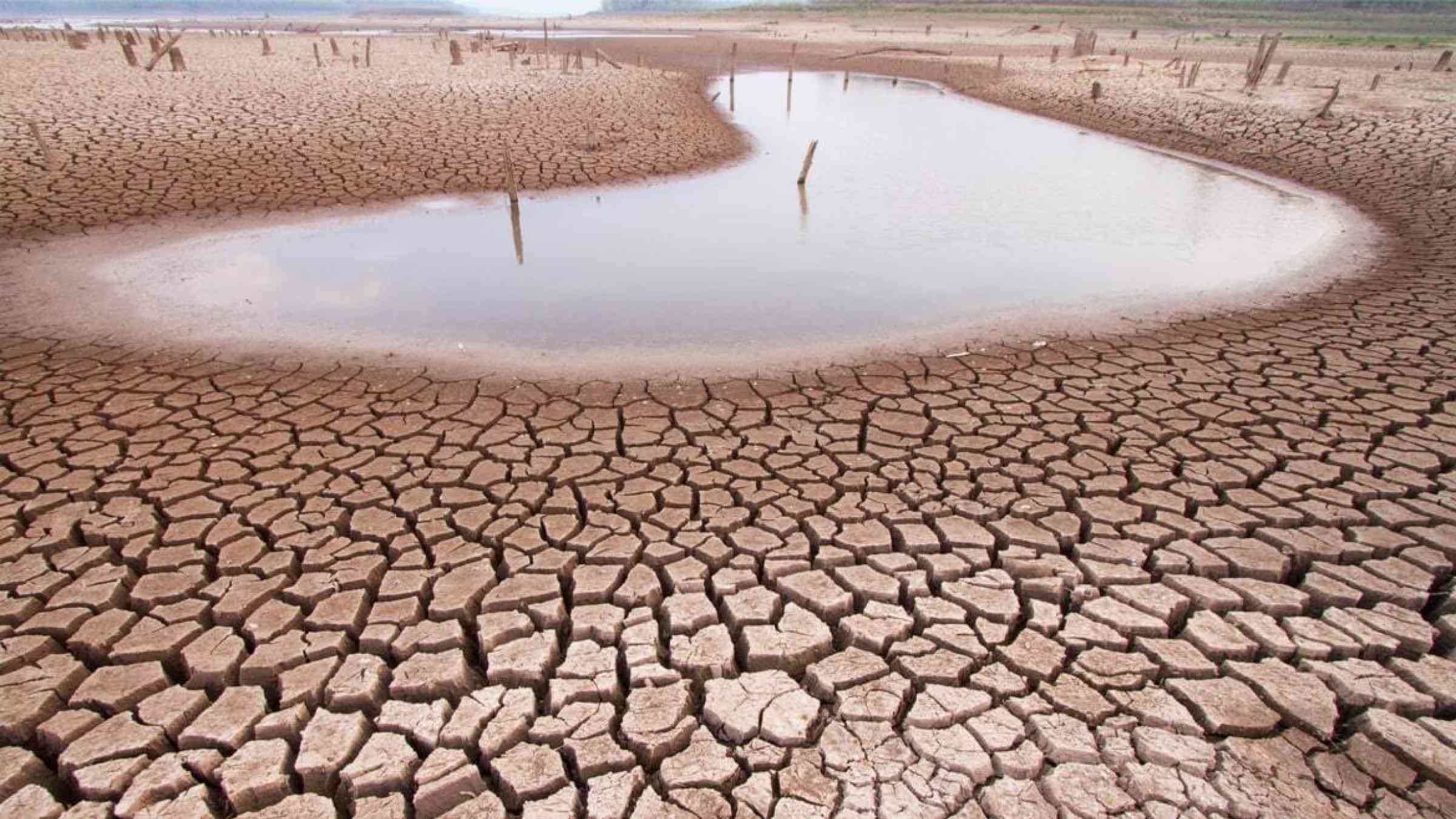 Pakistan Meteorological Department - PMD