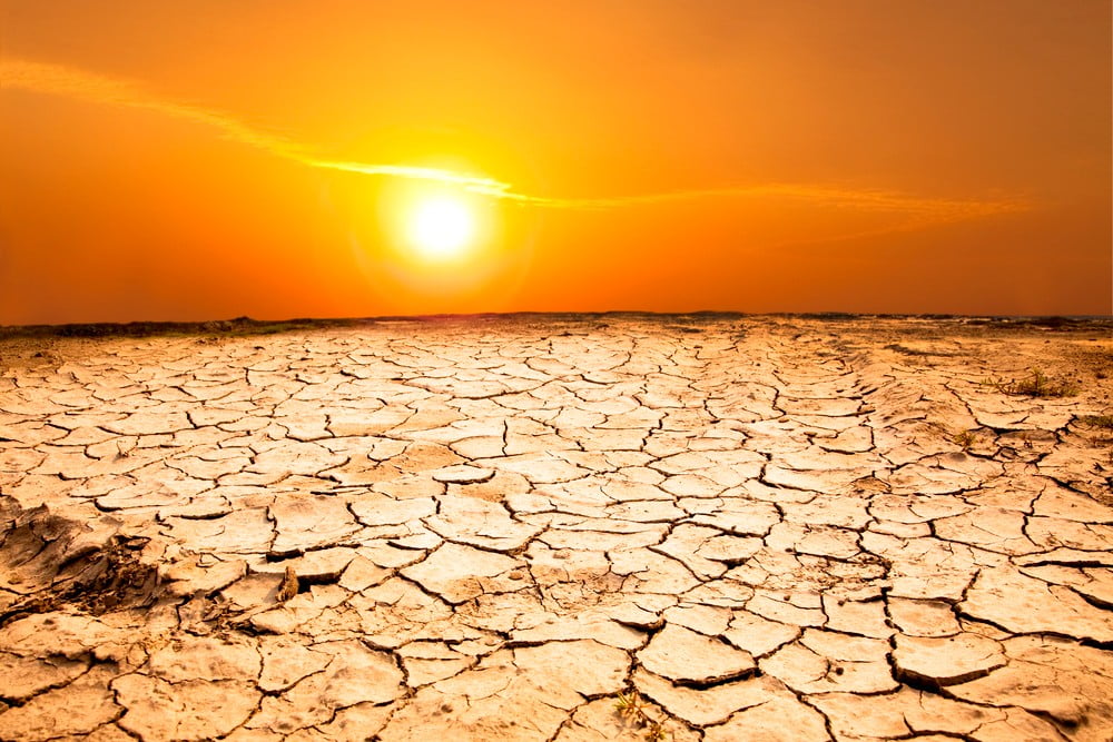 Pakistan Meteorological Department - PMD